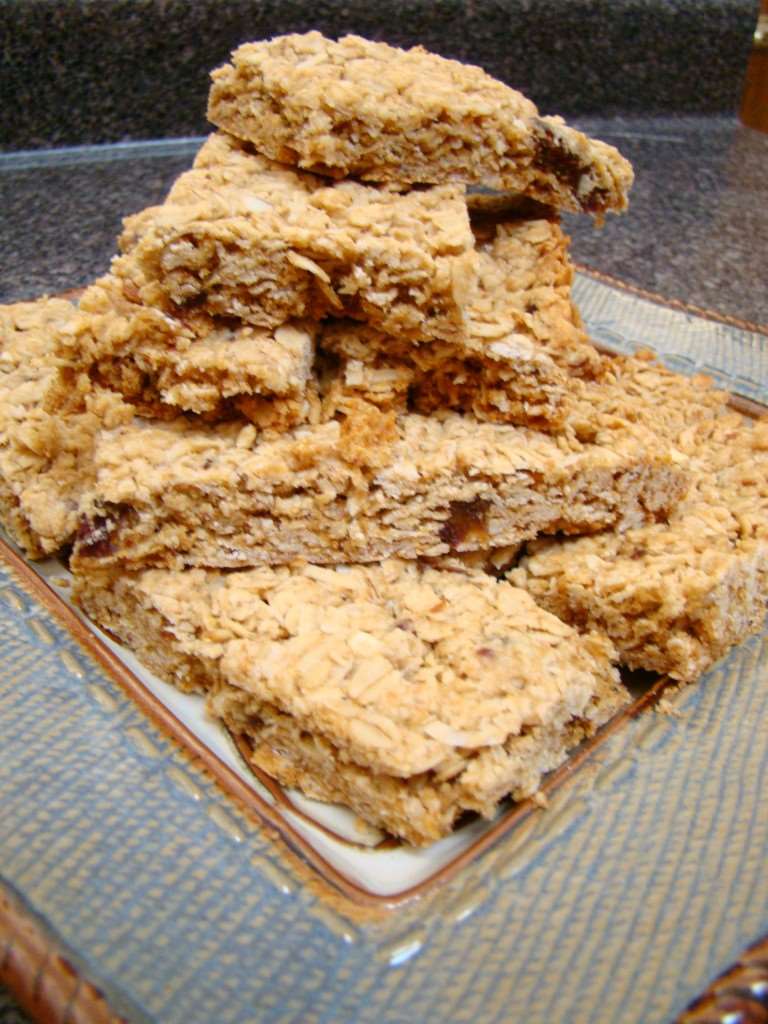 Before your Family Goes Out, Make these Camping Snacks