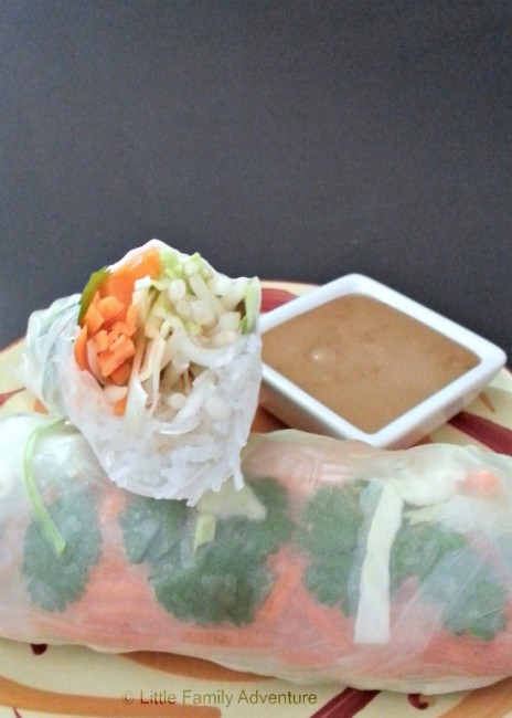 Vietnamese Shrimp Spring Rolls with Thai Peanut Sauce