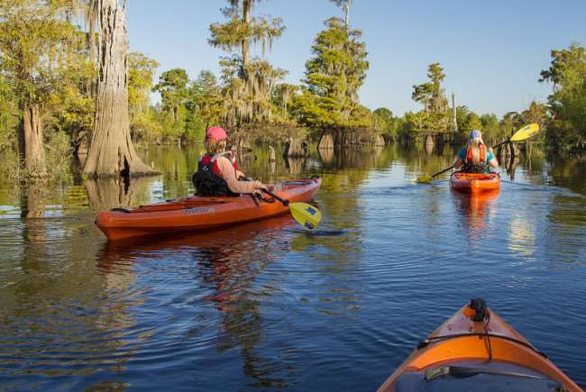 16 Family Activities in Gulf County, Florida