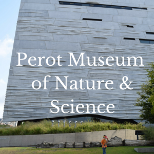 Looking for a BIG Disney Vacation Reveal Idea? You'll LOVE this ...