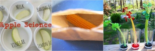 15 Kitchen Science Experiments You Can Eat