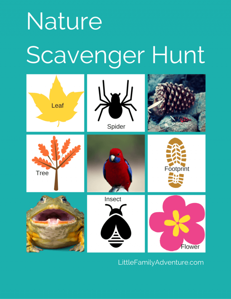 Hiking with Kids Essentials + Nature Scavenger Hunt