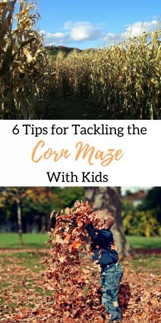 6 Tips for Tackling the Corn Maze with Kids