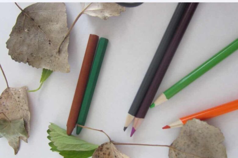 Leaf Rubbing with Kids: A Fun and Easy Outdoor Activity