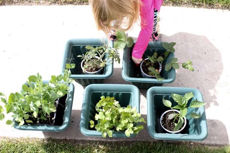 No Need to Leave Home: 14 Creative Outdoor Activities for Backyard Fun