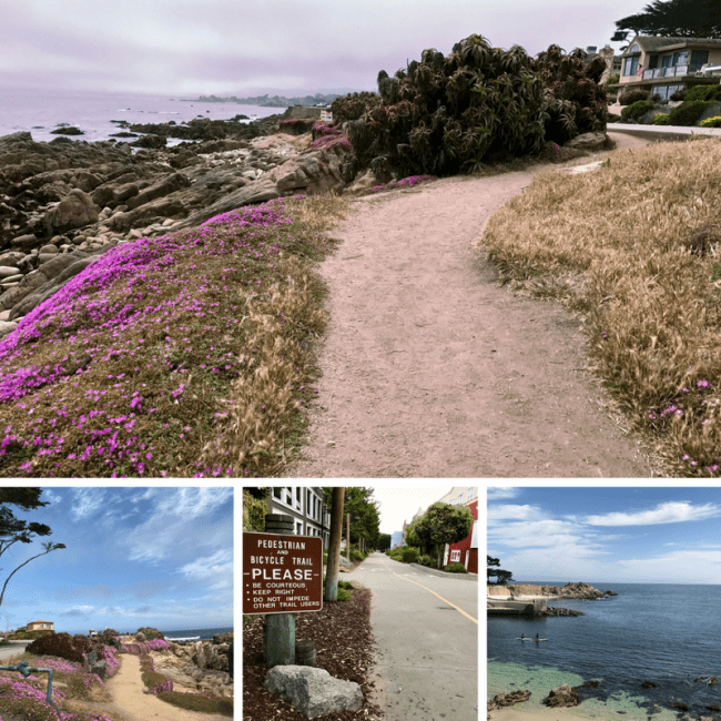 Looking for Things To Do in Monterey CA? Visit Cannery Row with Kids