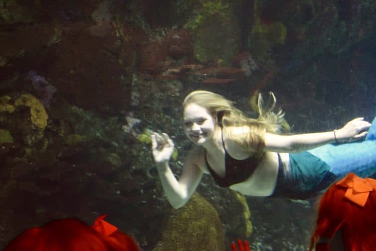 Dine With Mermaids at the Downtown Aquarium Restaurant