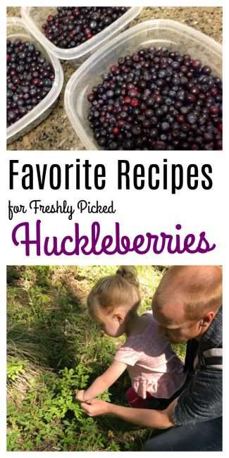 Do you Have Fresh Picked Huckleberries? Then Don't Miss these Tasty ...