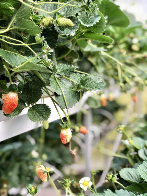 Day Trips From San Jose, Costa Rica To Take with Kids