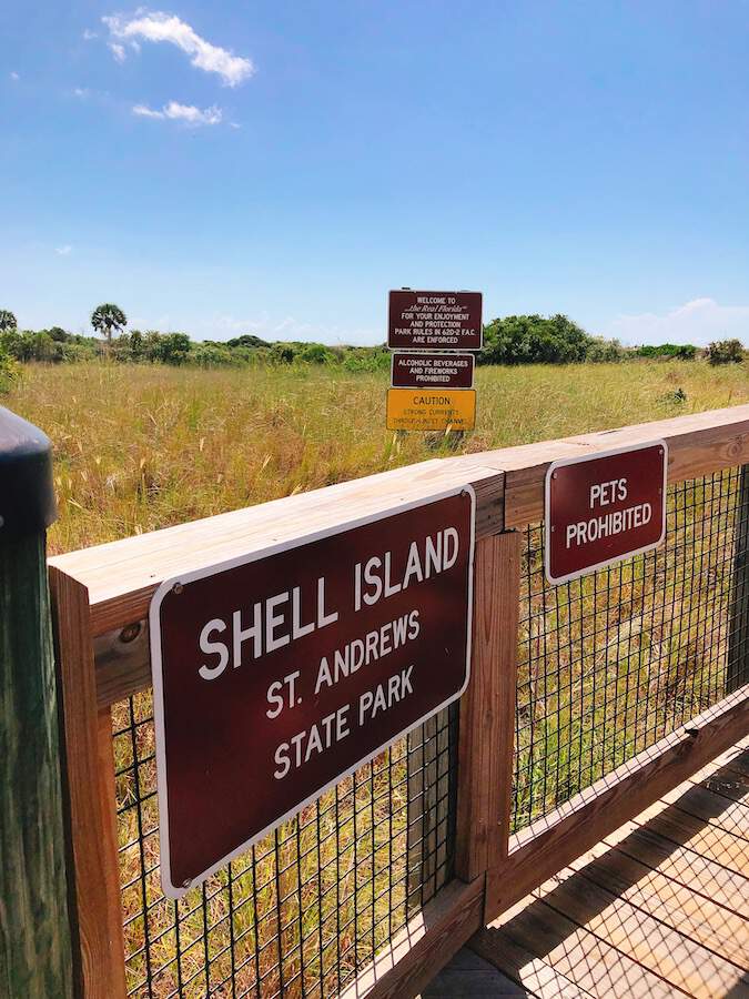 5 Reasons Why You Should Visit Shell Island -Panama City Beach, Florida