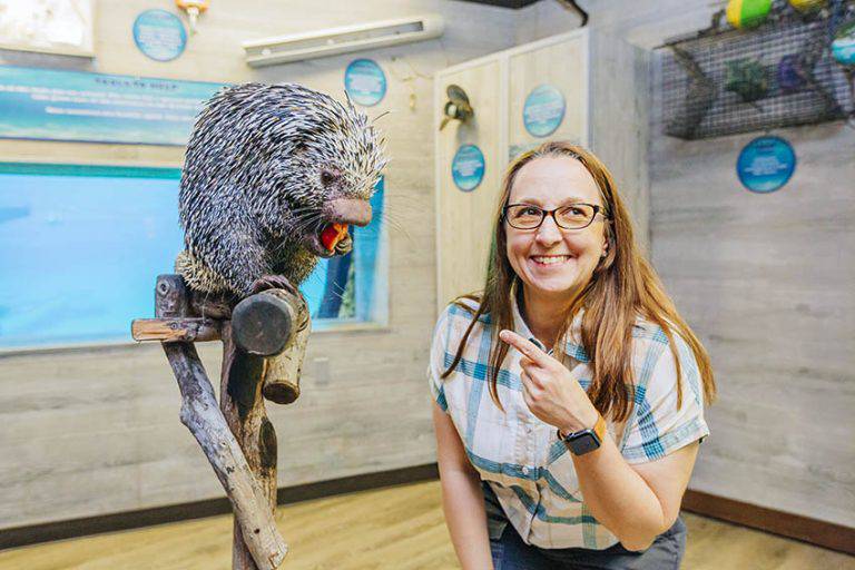 5 Animal Experiences You Won't Want to Miss in Tampa, Florida