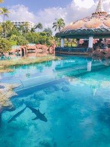 The Guide to Have When Taking Teens to Atlantis Resort, Bahamas