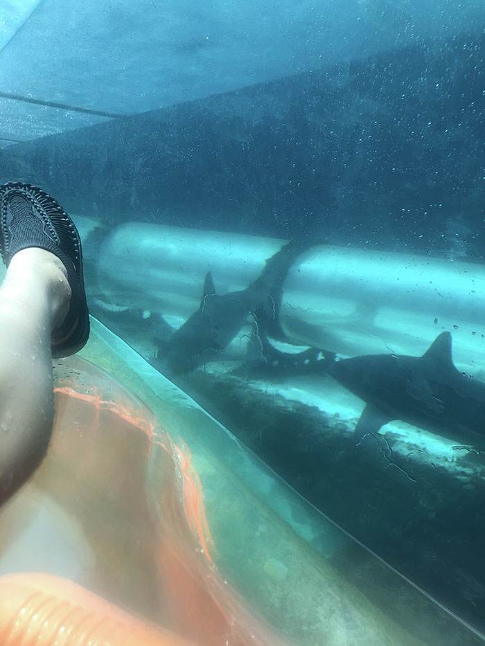 The Guide to Have When Taking Teens to Atlantis Resort, Bahamas