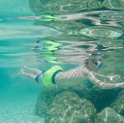 Take a Nature Safari & Create these Nature Rubbings