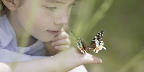 30 Bee Activities for Kids +FREE printable