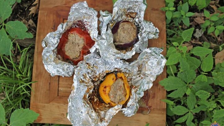 25+ Camping Foil Packet Meals