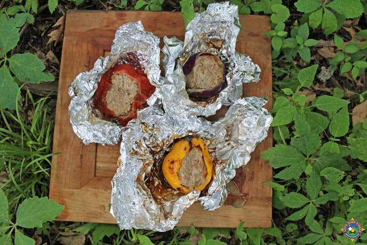 25+ Camping Foil Packet Meals
