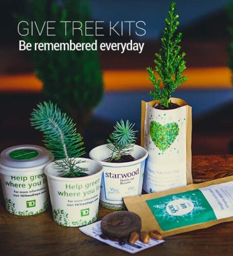 41 Amazing National Parks Gifts & Stocking Stuffers for 2024