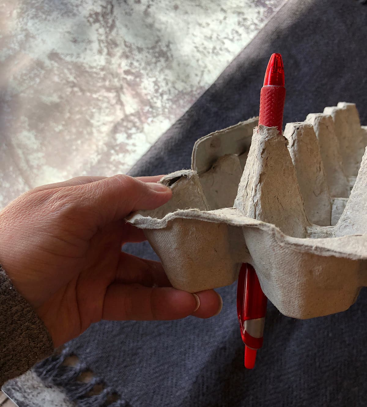 How to Make an Egg Carton bird feeder and Nesting Station with Your kids