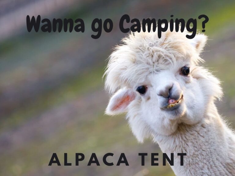 50 Funny Camping Memes to Make to Giggle & Inspire To Go Outside