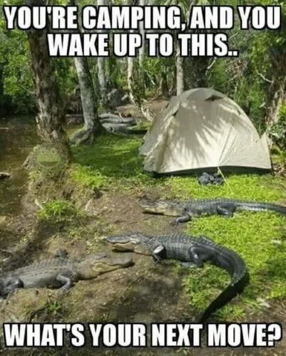 50 Funny Camping Memes to Make to Giggle & Inspire To Go Outside