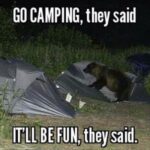 50 Funny Camping Memes to Make to Giggle & Inspire To Go Outside