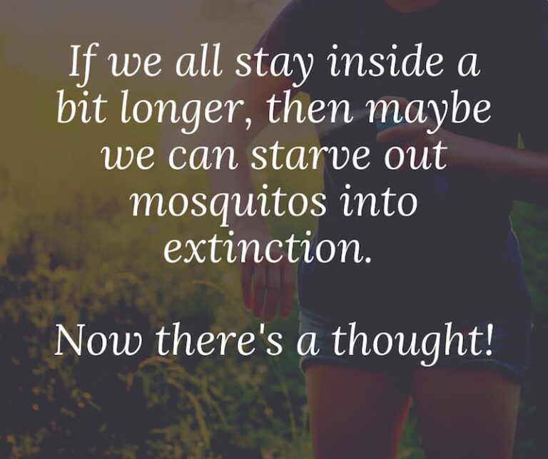 50 Funny Camping Memes to Make to Giggle & Inspire To Go Outside