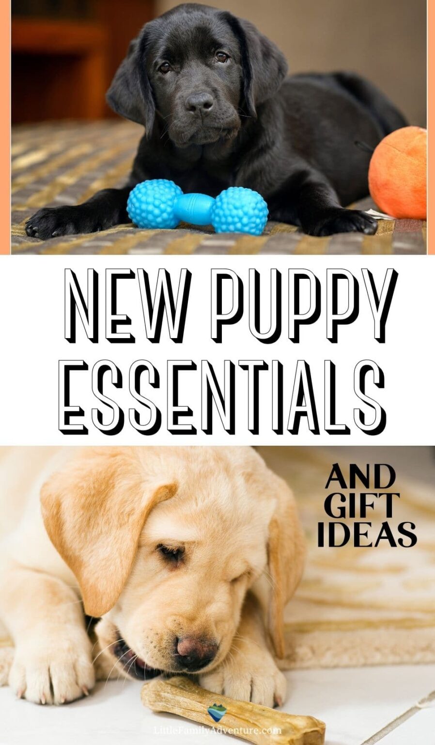 19 Essential Gifts for New Puppy Owners That Any Dog Would LOVE