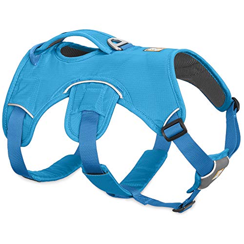 Tips and Essential Gear for Trail Running with Dog