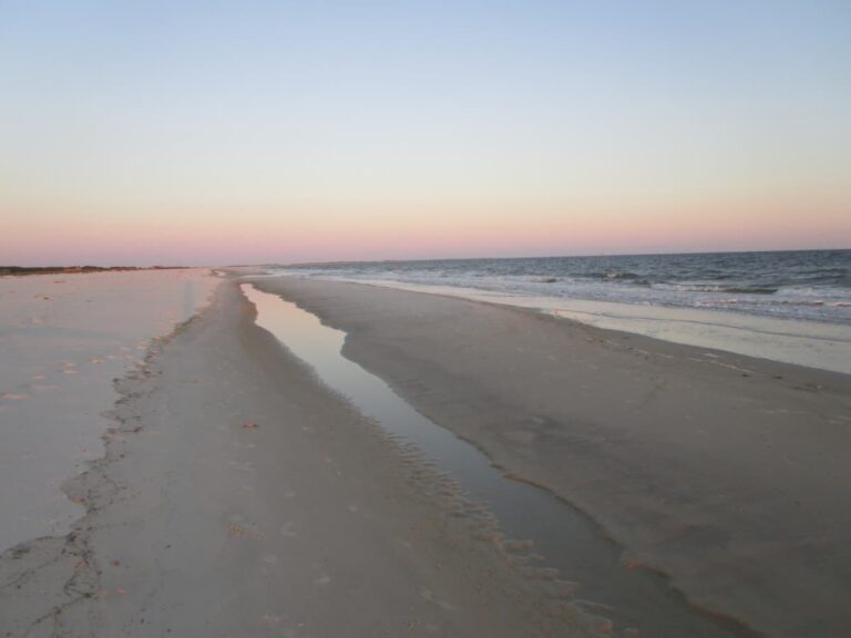 Your Vacation Guide to the Best Alabama Beaches for Families