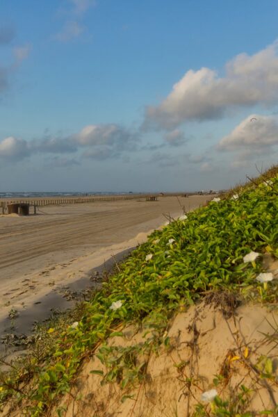 7 Best Beaches in Texas for Families