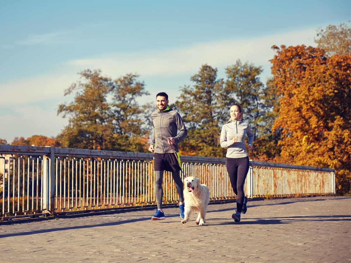 Tips and Essential Gear for Trail Running with Dog