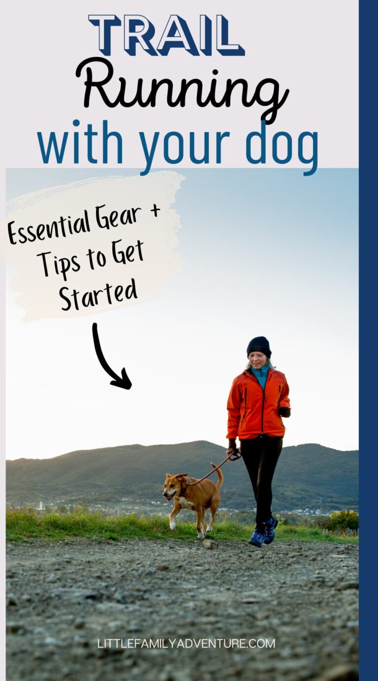 Tips and Essential Gear for Trail Running with Dog