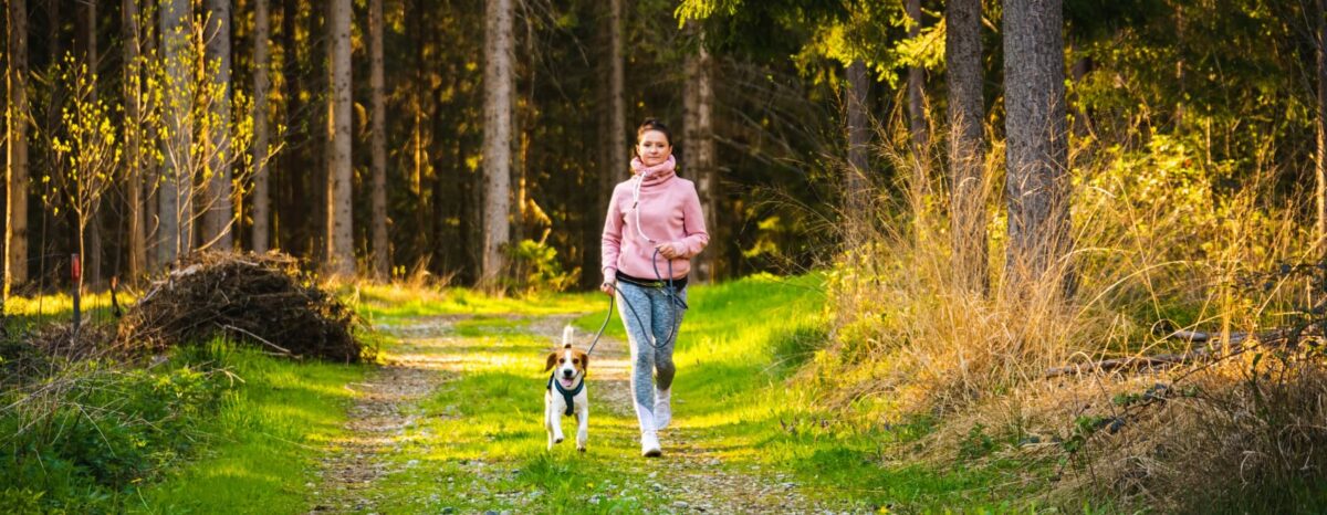 Tips and Essential Gear for Trail Running with Dog