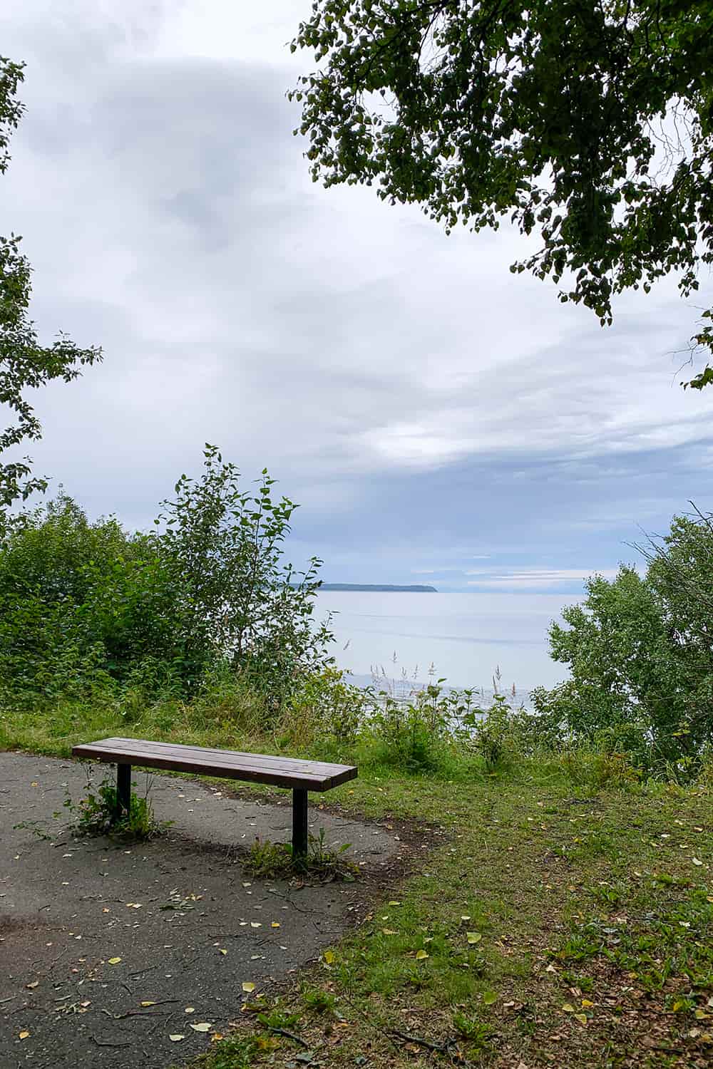 See Anchorage and its Wildlife Along the Tony Knowles Coastal Trail