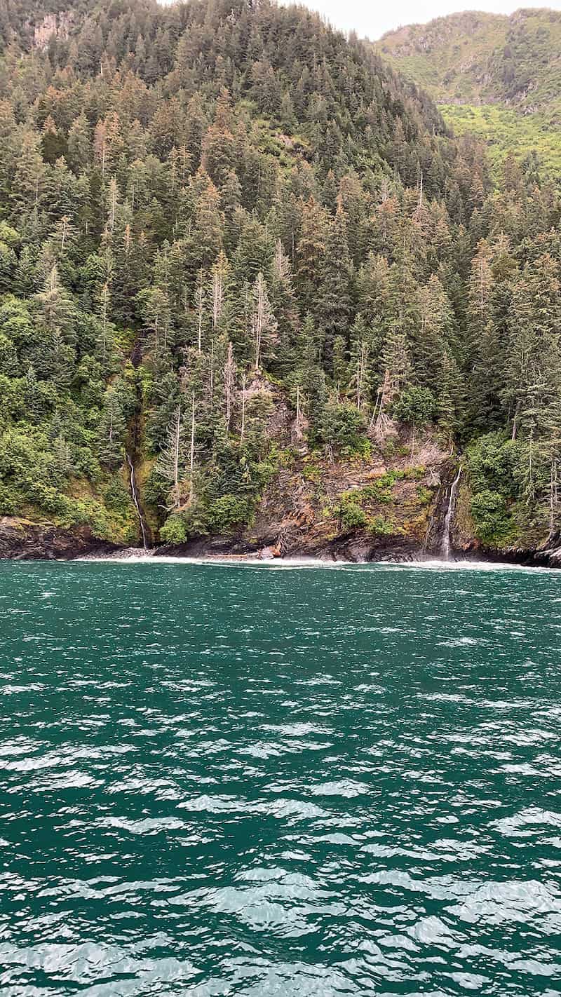 Ultimate Guide to Planning a Resurrection Bay Cruise - Seward, Alaska