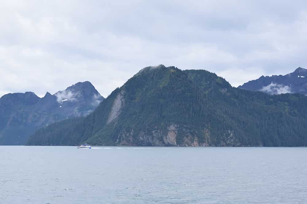 Ultimate Guide to Planning a Resurrection Bay Cruise - Seward, Alaska