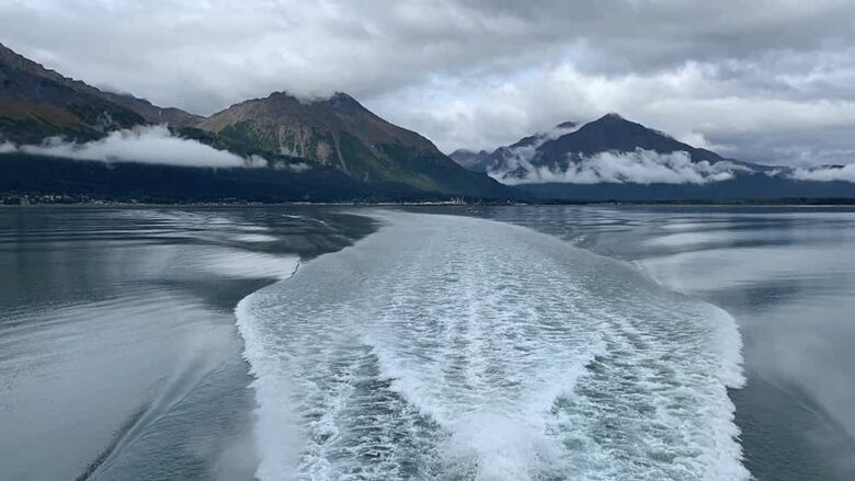 Ultimate Guide to Planning a Resurrection Bay Cruise - Seward, Alaska
