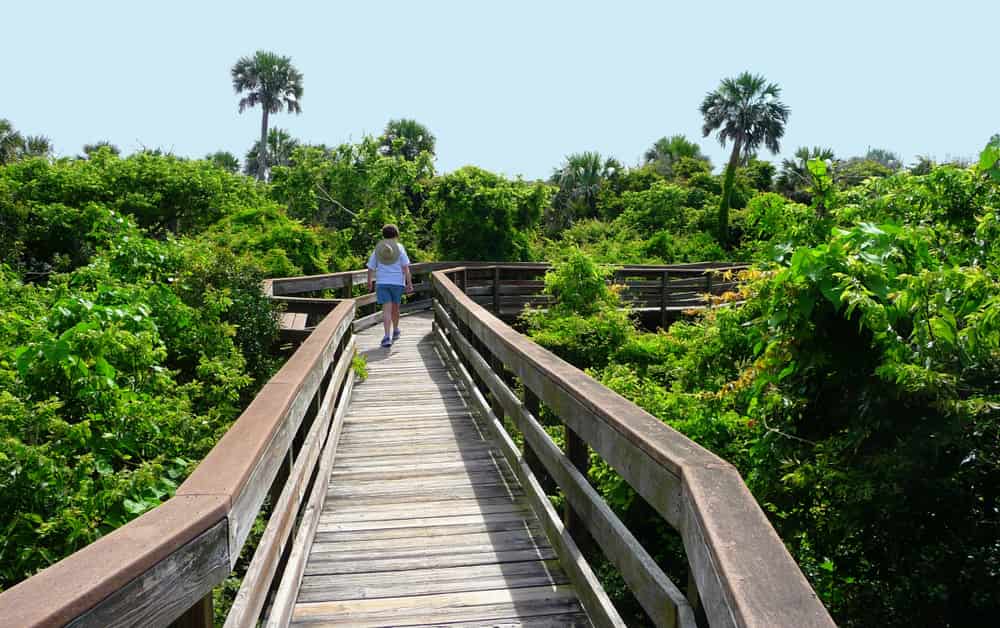 Traveling with Teens? Discover these 19 Things To Do in Central Florida ...