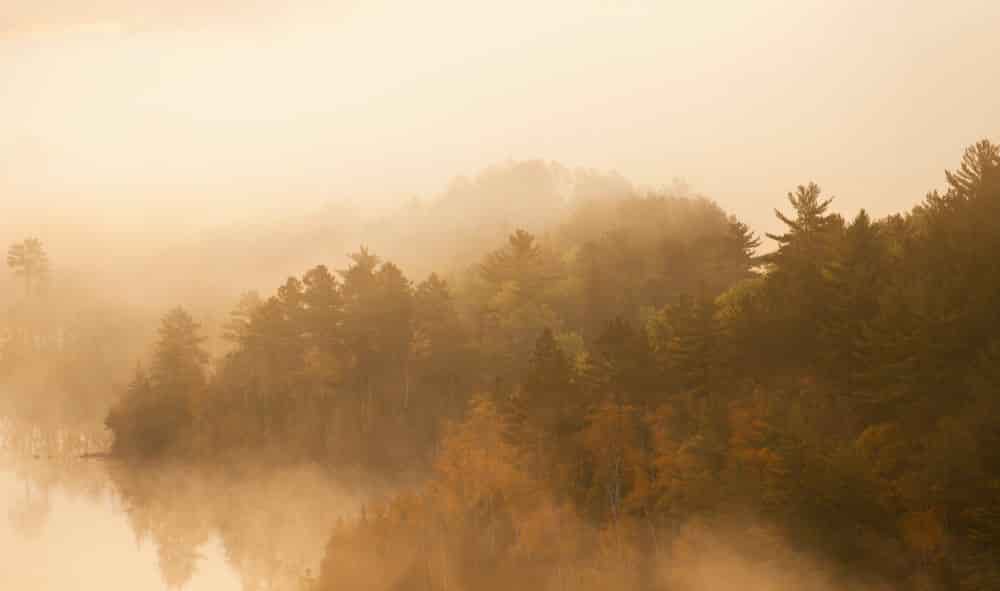 9 of the Best Campgrounds in Minnesota State Parks for Families