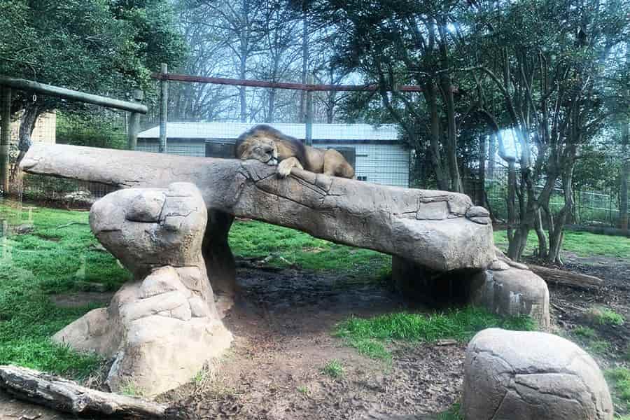 Greenville, SC Attractions To Experience with Your Family