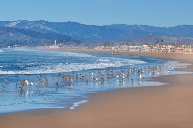 Ultimate Family Destination: Best Beaches in Oxnard, CA with Kids