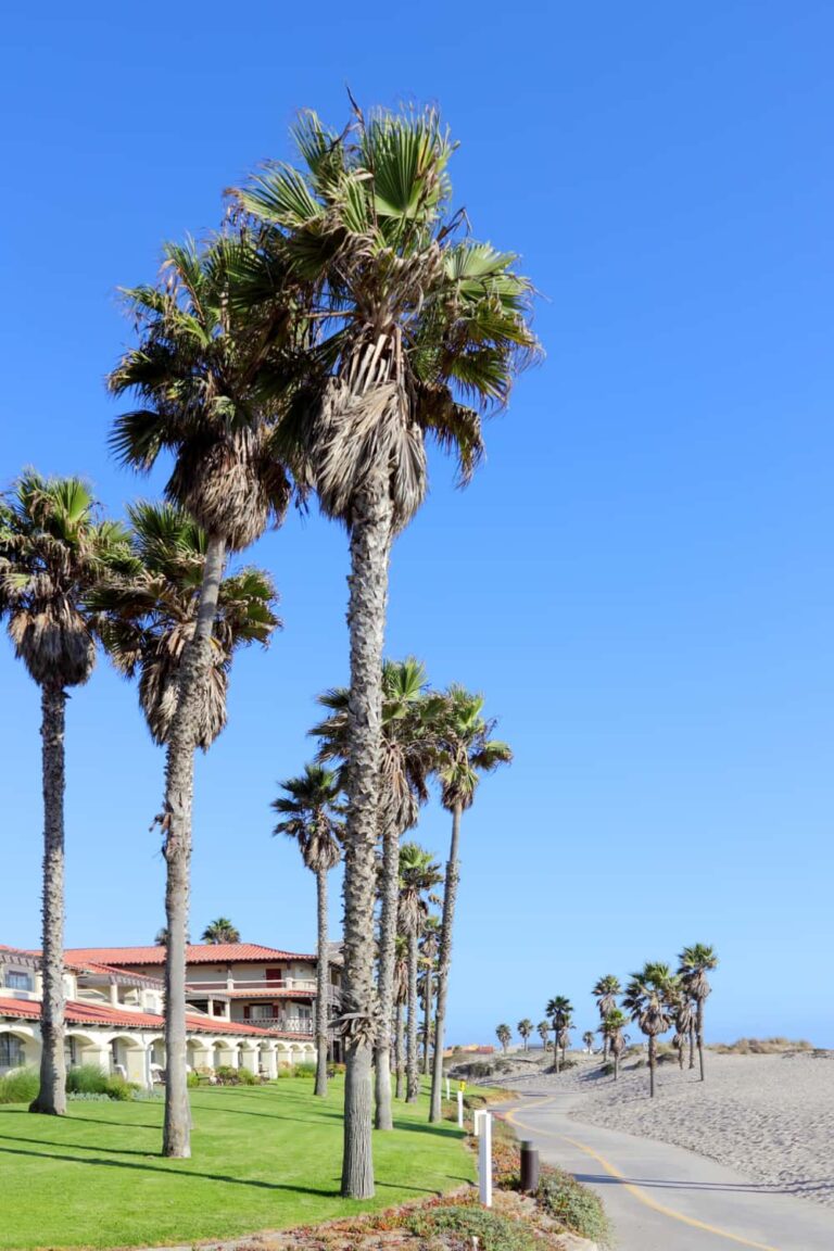 Ultimate Family Destination: Best Beaches in Oxnard, CA with Kids