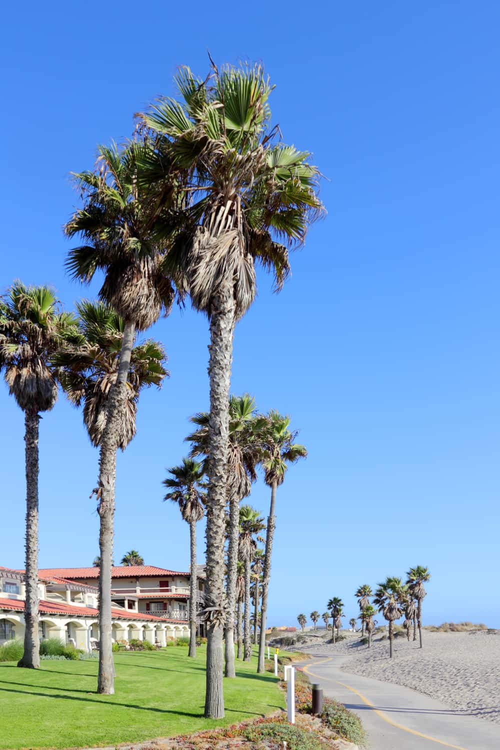 Ultimate Family Destination: Best Beaches in Oxnard, CA with Kids