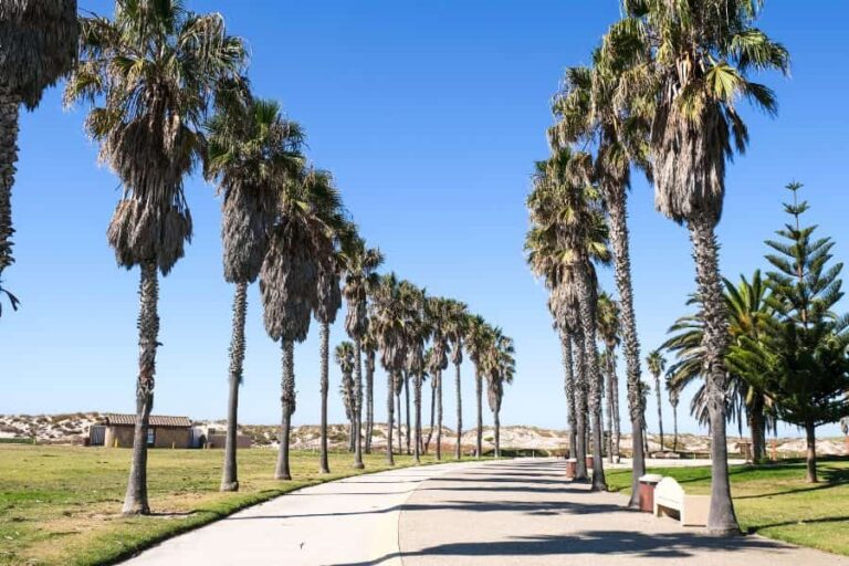 Ultimate Family Destination: Best Beaches in Oxnard, CA with Kids