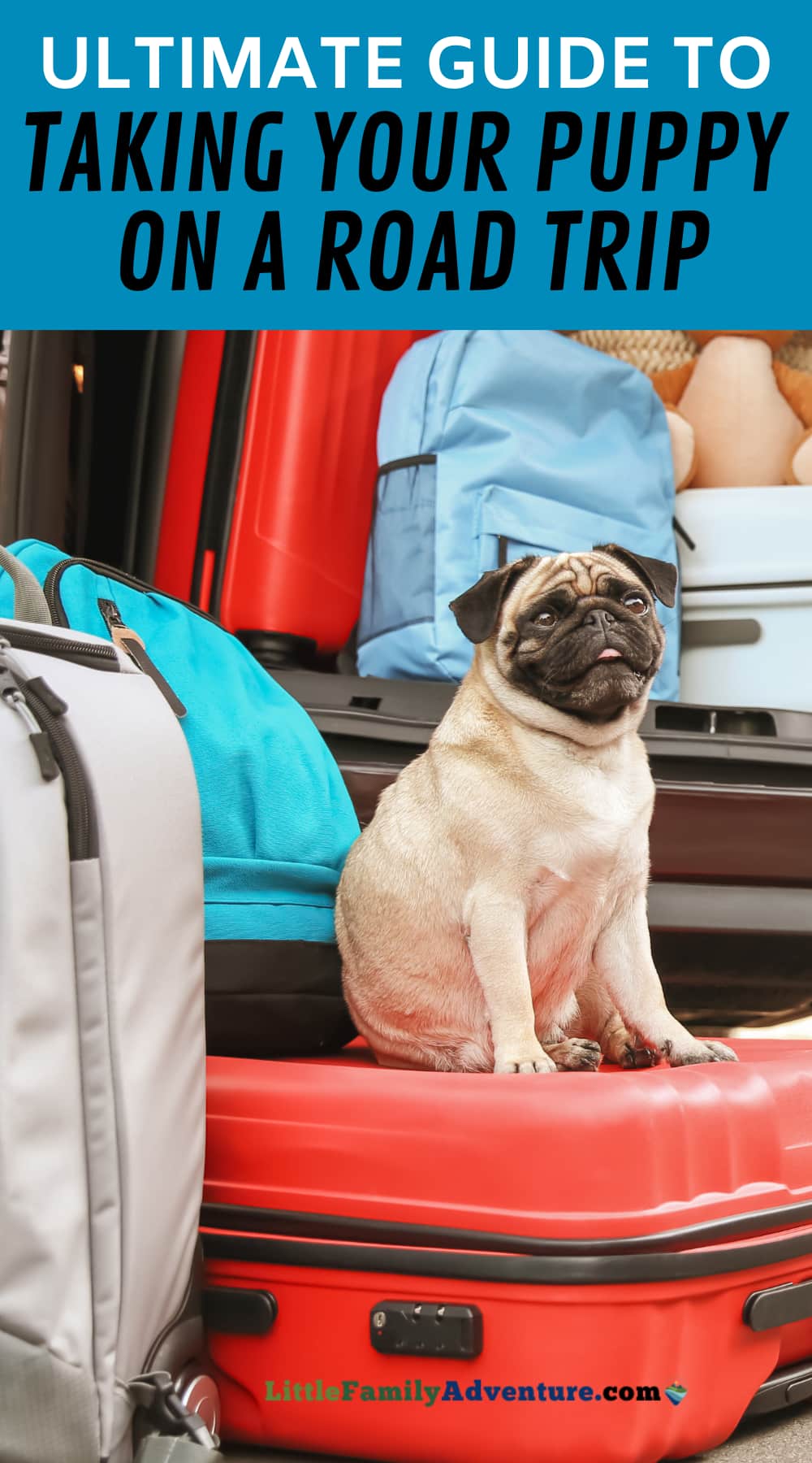Everything You Need to Know About Road Tripping With Your Puppy