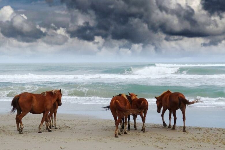 Make the Most of Your Outer Banks Family Trip With These 20 Things to Do