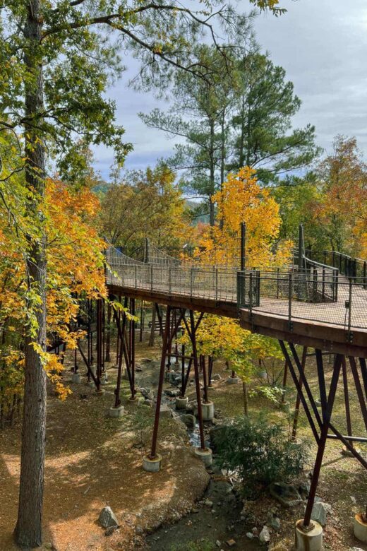 25 Entertaining Family Activities in Hot Springs, Arkansas That Will ...
