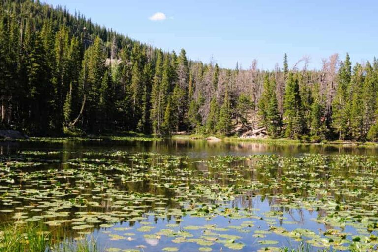 Road Trip Itinerary - Denver to Rocky Mountain National Park (One Day Trip)