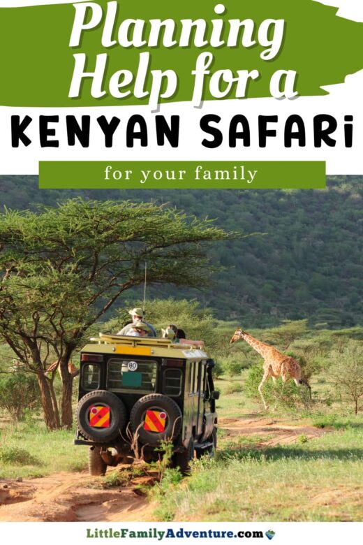 Plan the Perfect Family Safari in Kenya: Follow Our Tips for First-time ...